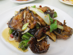 China Eight Cuisines - Shandong, Guangdong Cuisine Food